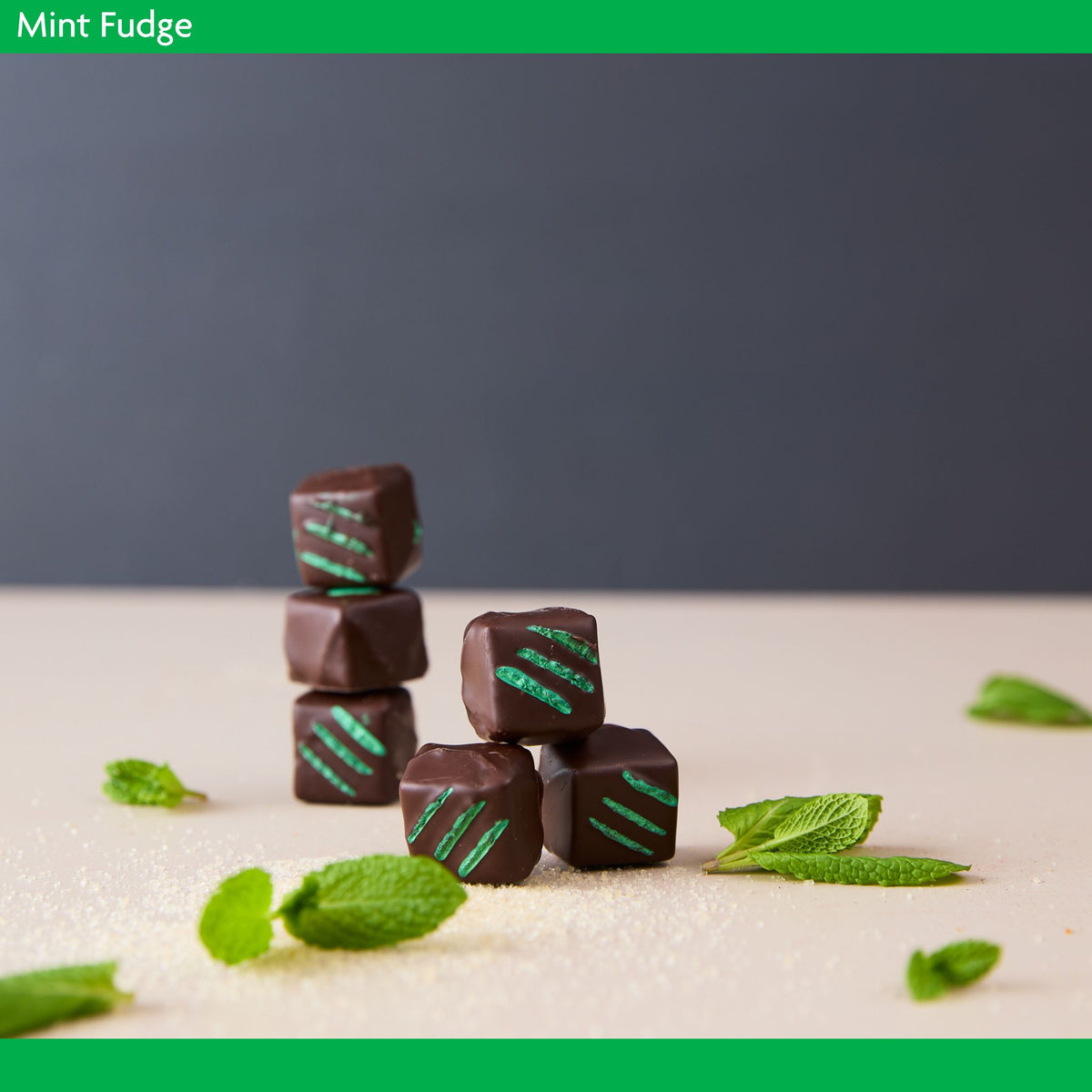 Mint Fudge– Cocoa Rouge
